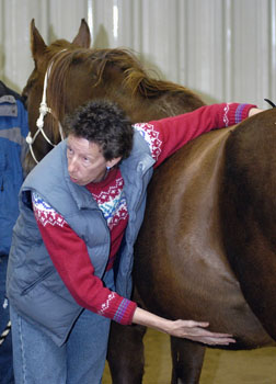 Equine instructor brings her competitive experience to USU - The Utah ...