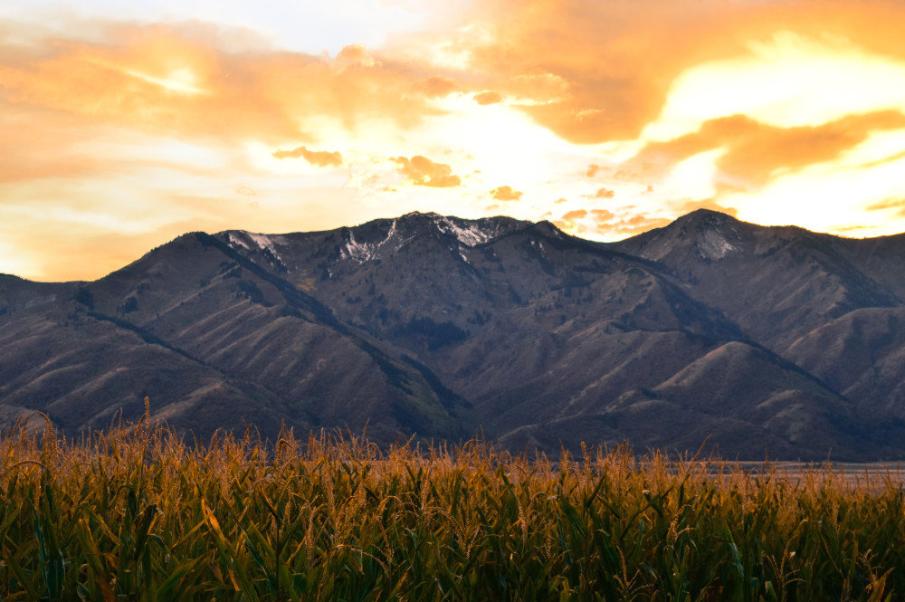GALLERY: Fall in love with Cache Valley - The Utah Statesman