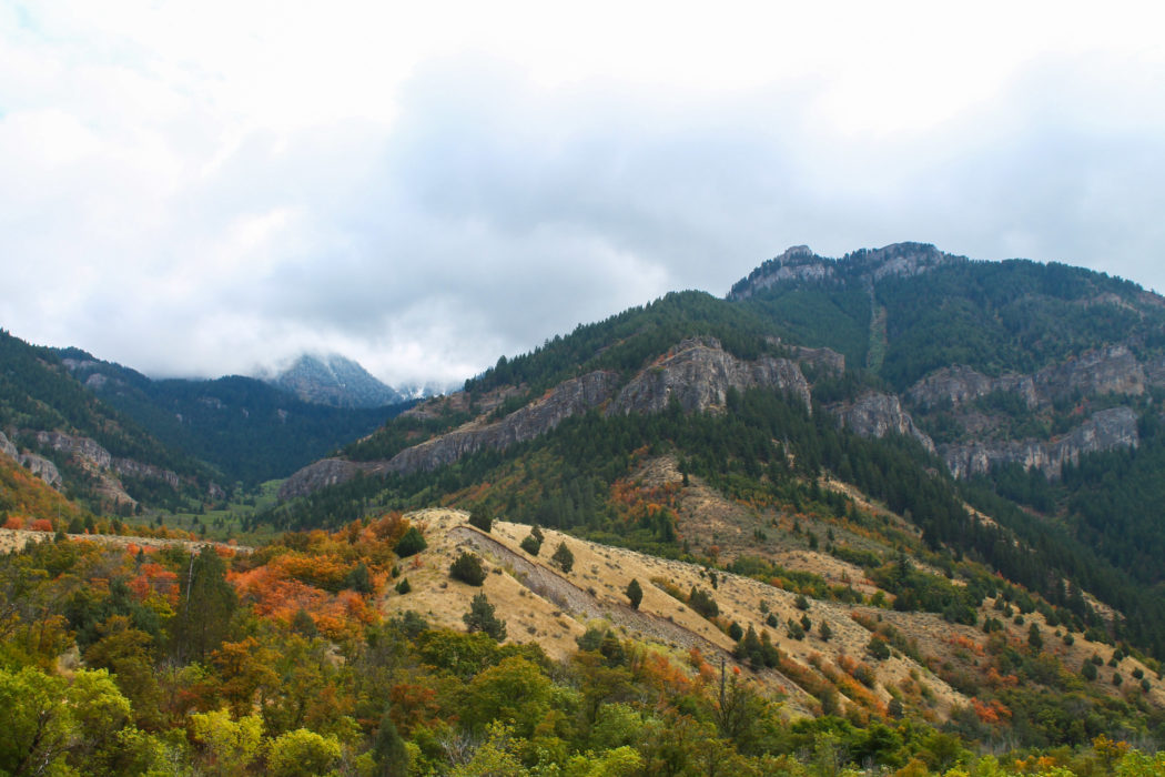 Fall photo gallery - The Utah Statesman