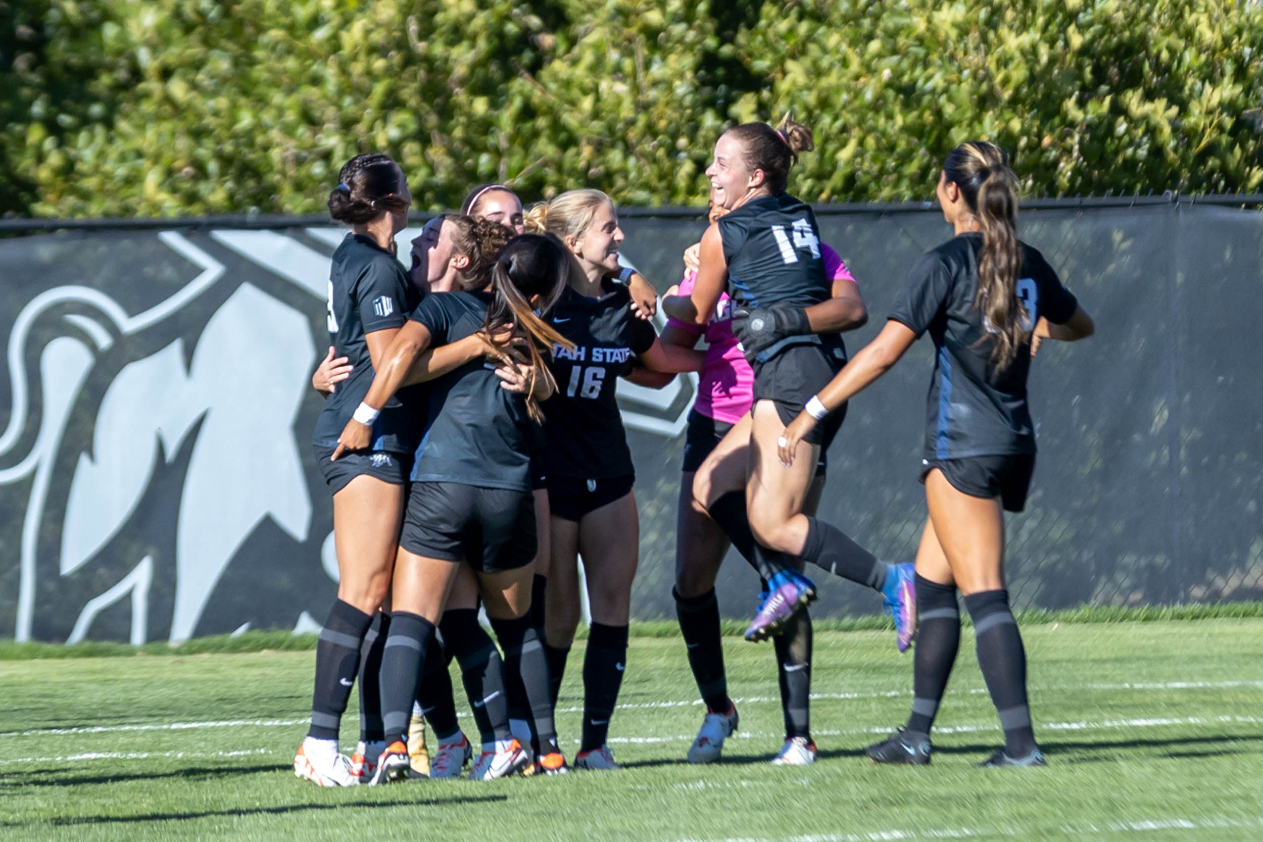 Soccer's last second score to beat CSU - The Utah Statesman