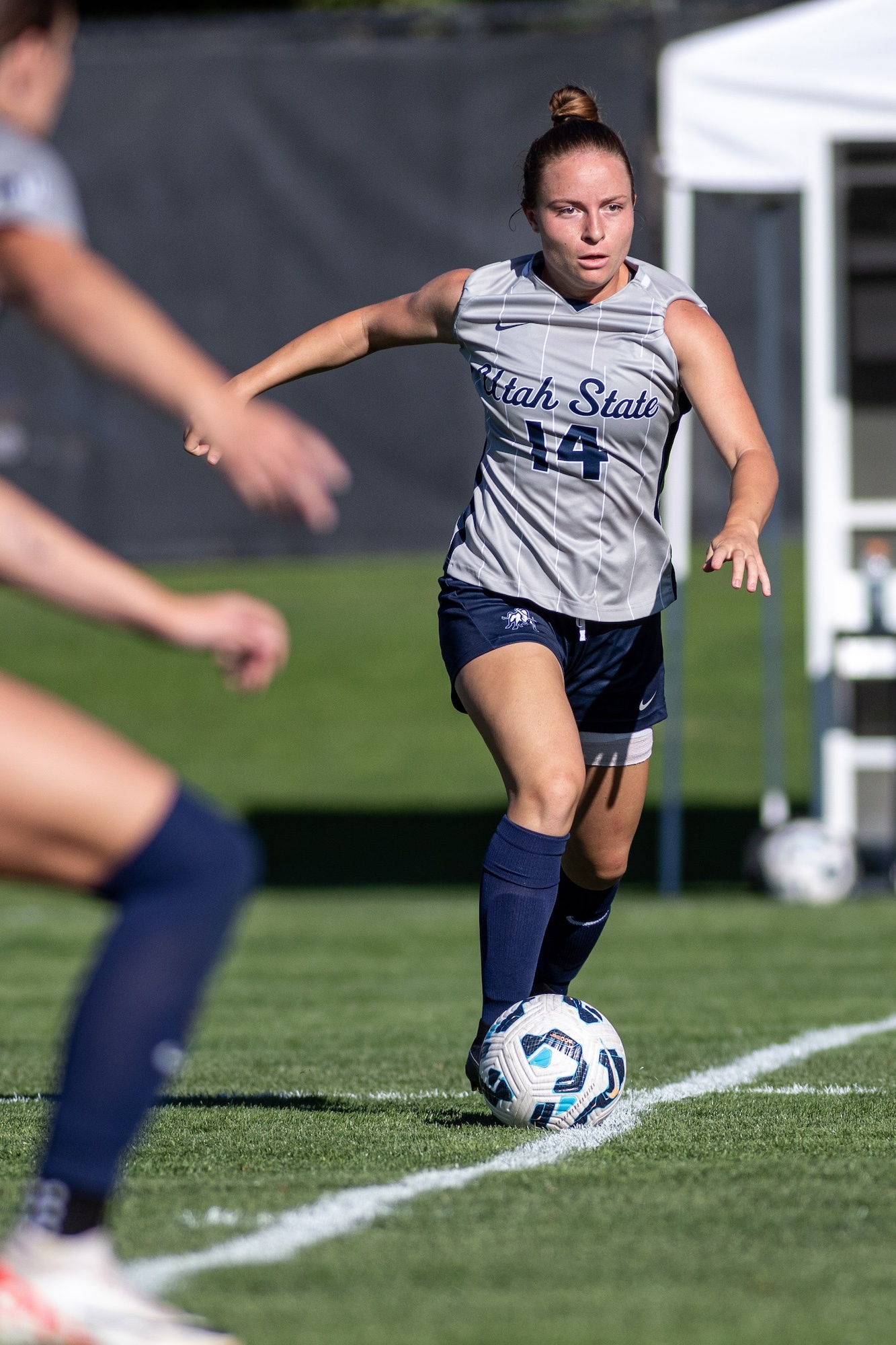 A Diamond is soccer's best friend - The Utah Statesman