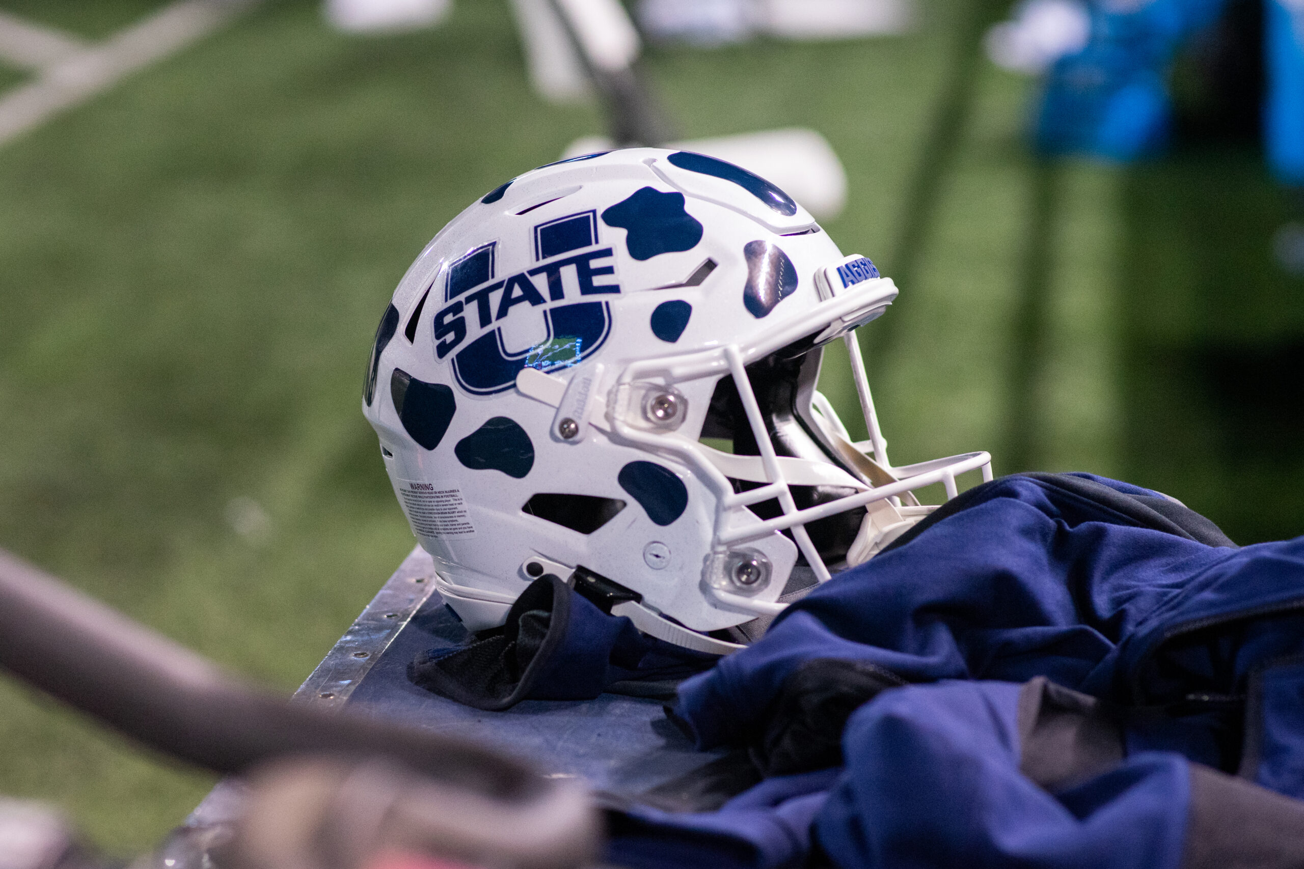 Spotted availability of cow-print branding - The Utah Statesman